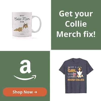 Rough Collie Grooming Tools | Brought to you by Collie Chatter