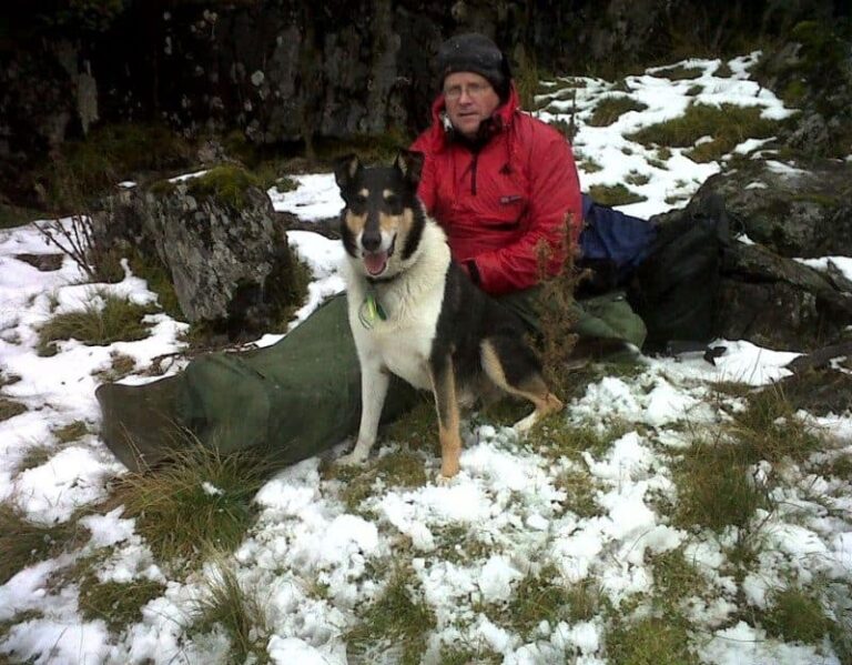 Smooth Collie Search and Rescue Dog | Collie Chatter