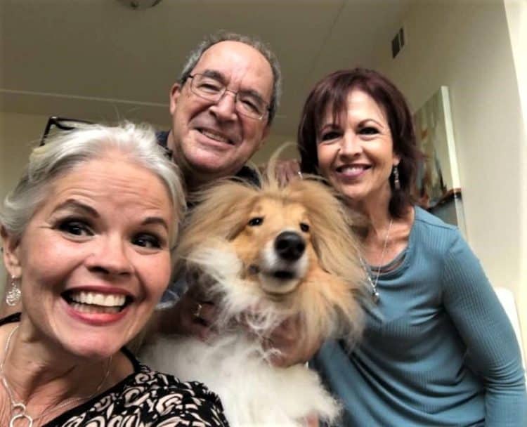 Cody Crazy Hair, A Collie Like No Other | Collie Chatter