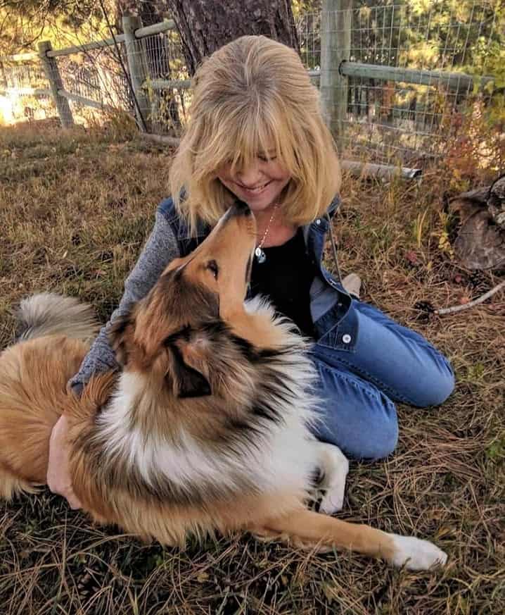 What Is A Scottish Collie? | Collie Chatter